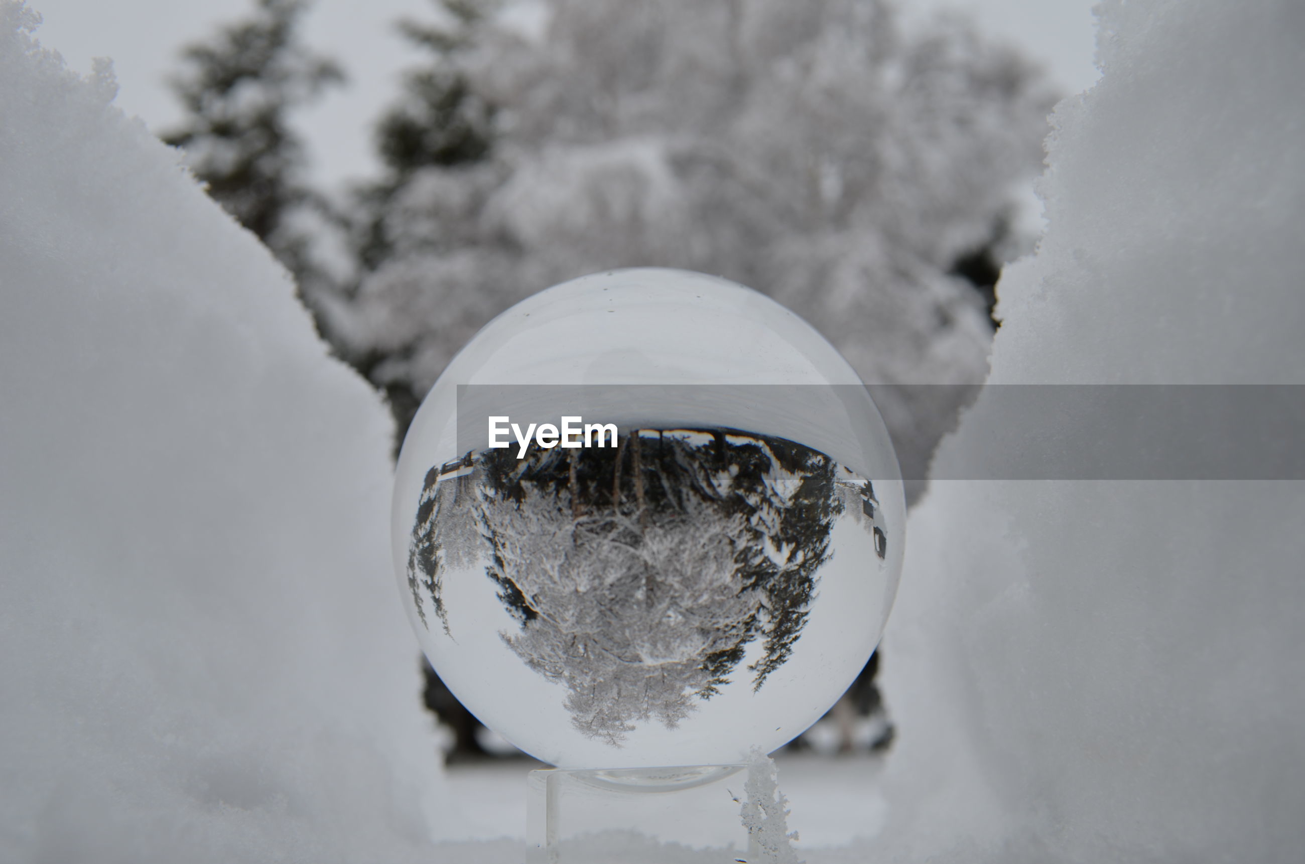 Close-up of crystal ball in snow | ID: 149669462