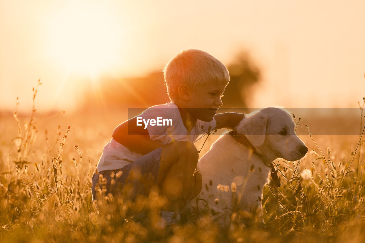 Boy with dog on field during sunset | ID: 110786067