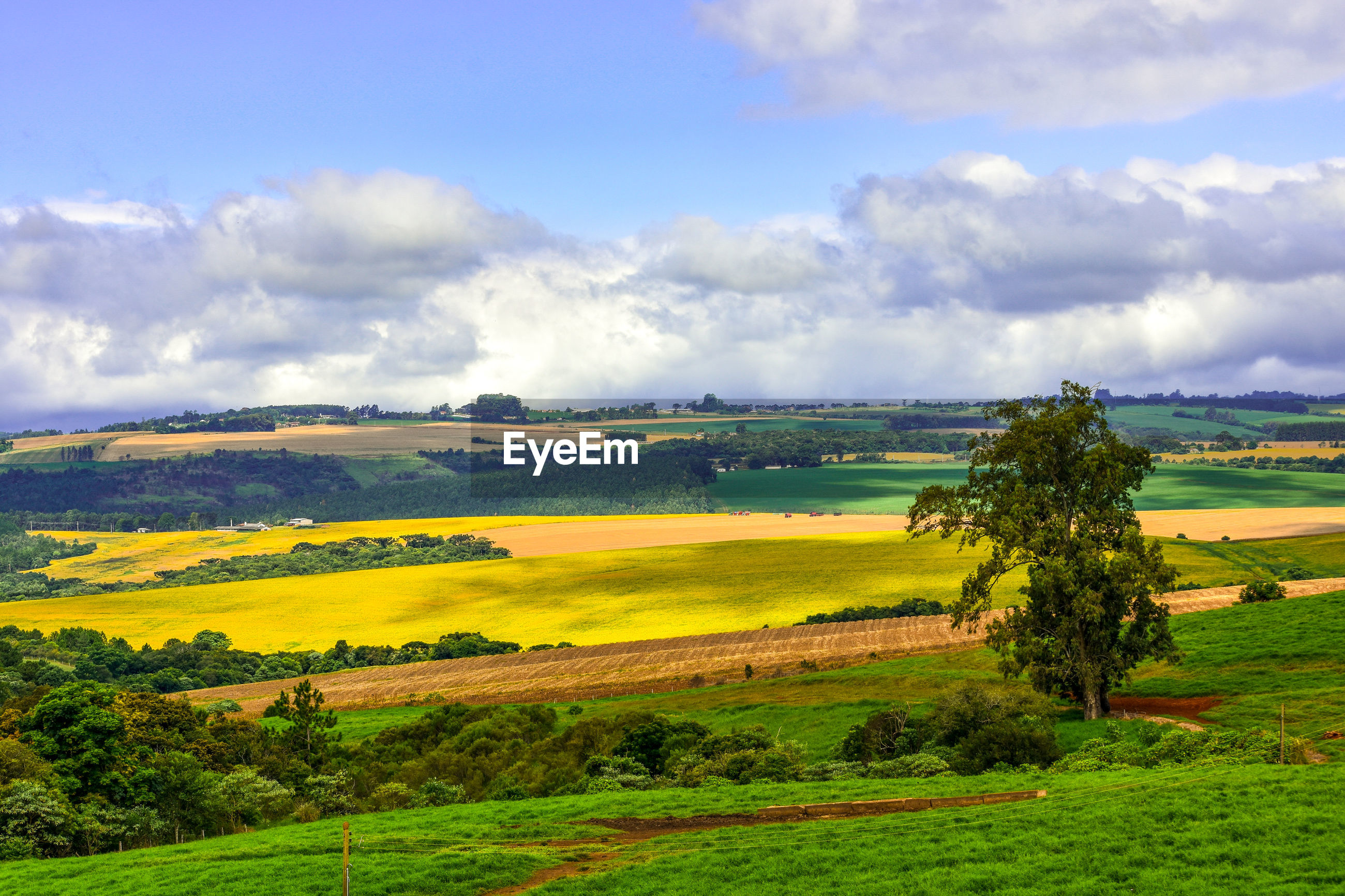 Scenic view of field against sky | ID: 160567416