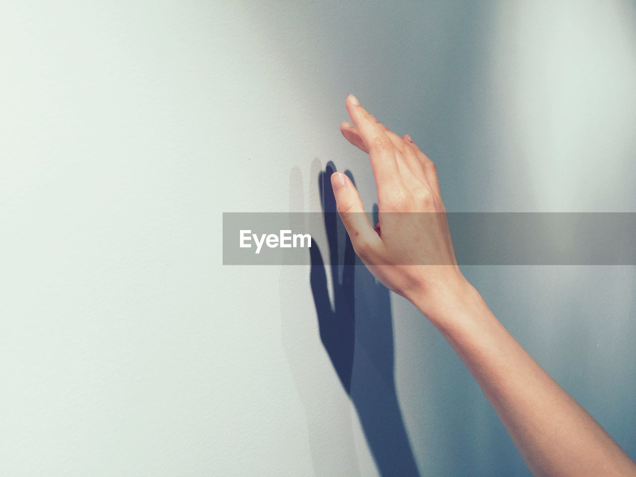 Hand sign shadow against white background | ID: 66669819