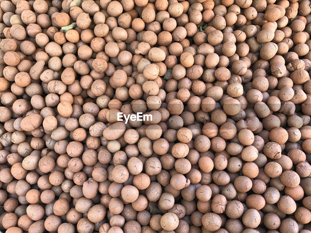 Full frame shot of seeds | ID: 128730672