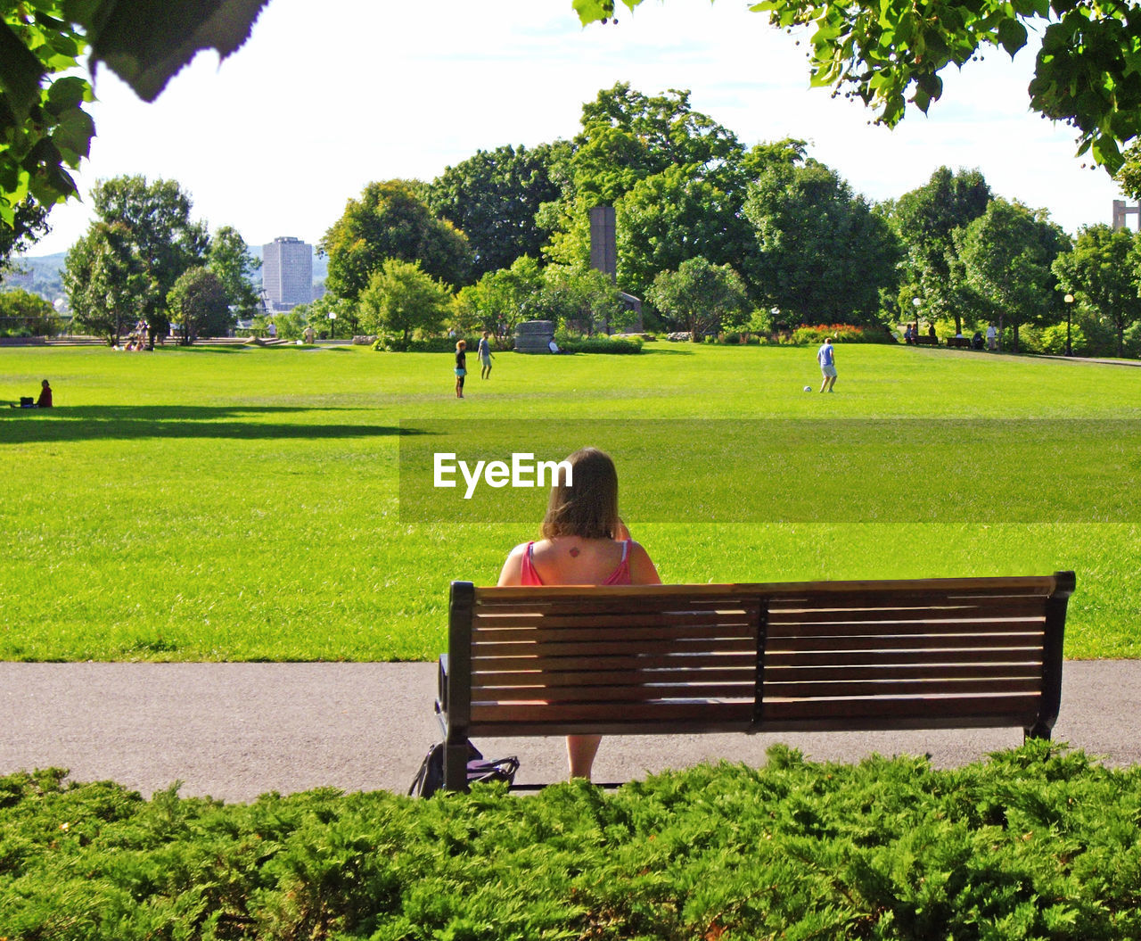 Rear view of woman sitting on bench by park | ID: 123754282