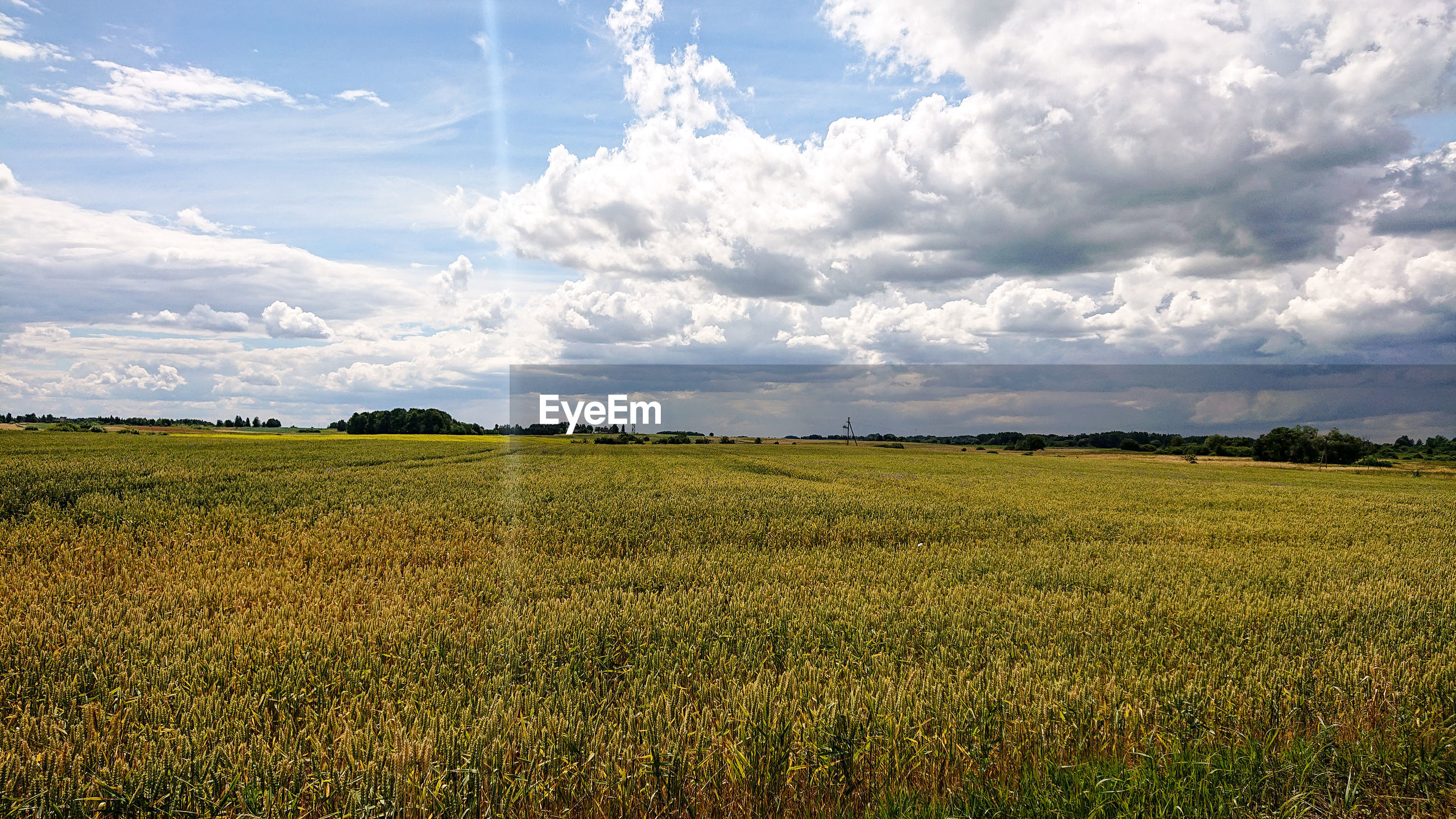 Scenic view of farm against sky | ID: 125056743