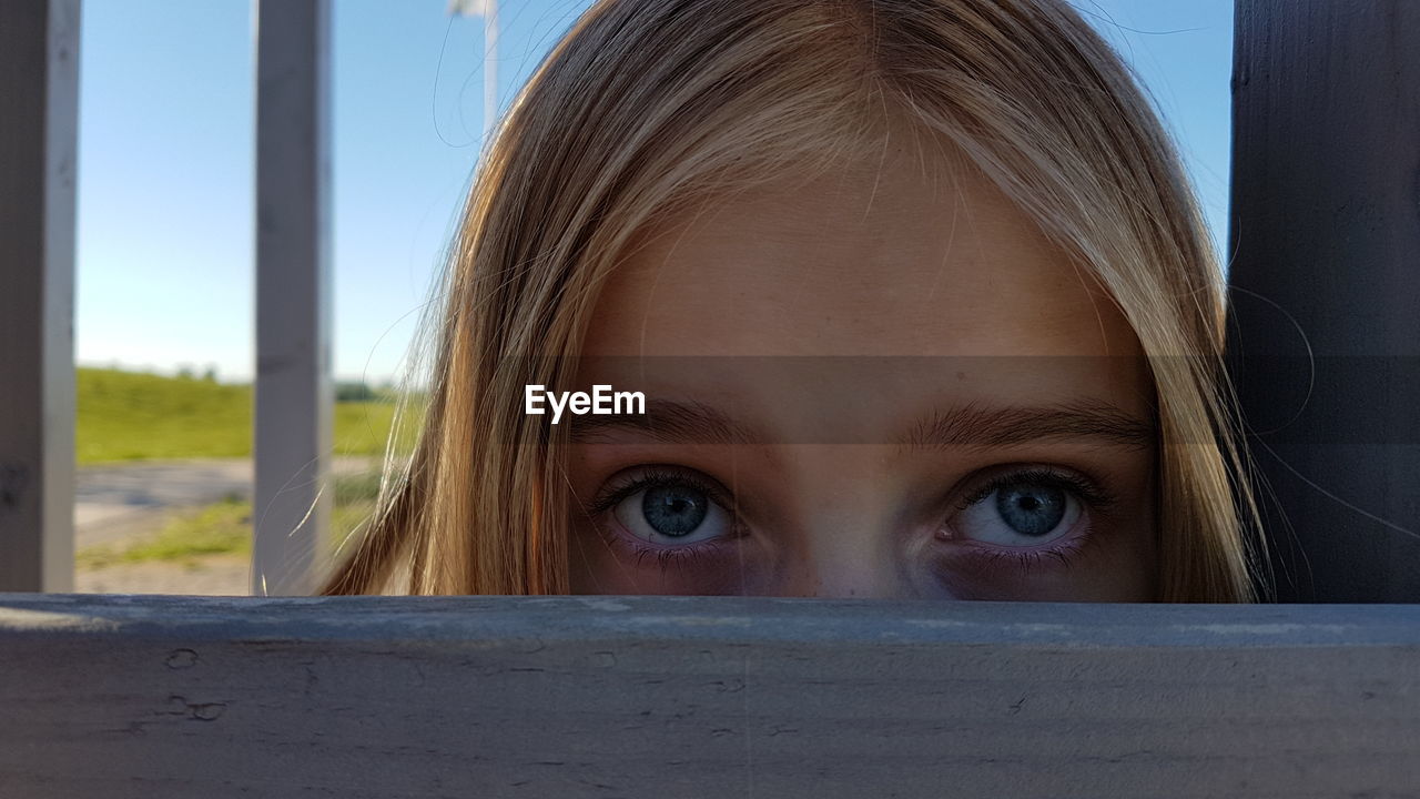 Close-up portrait of peeking through fence | ID: 142185621