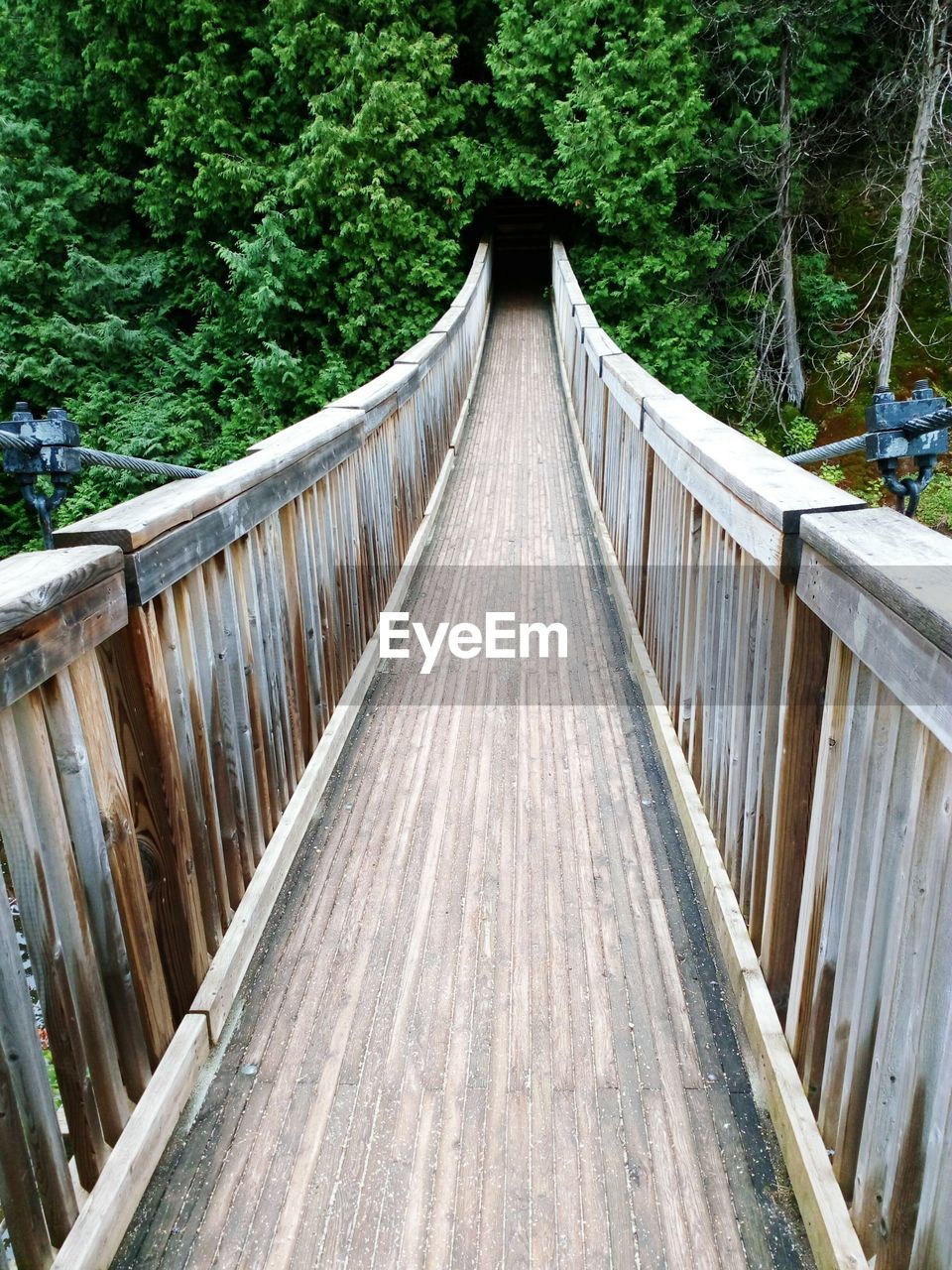 Wooden footbridge leading towards forest | ID: 91084560