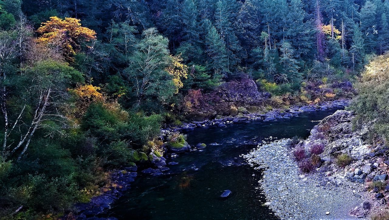 High angle view of river flowing through | ID: 134515237