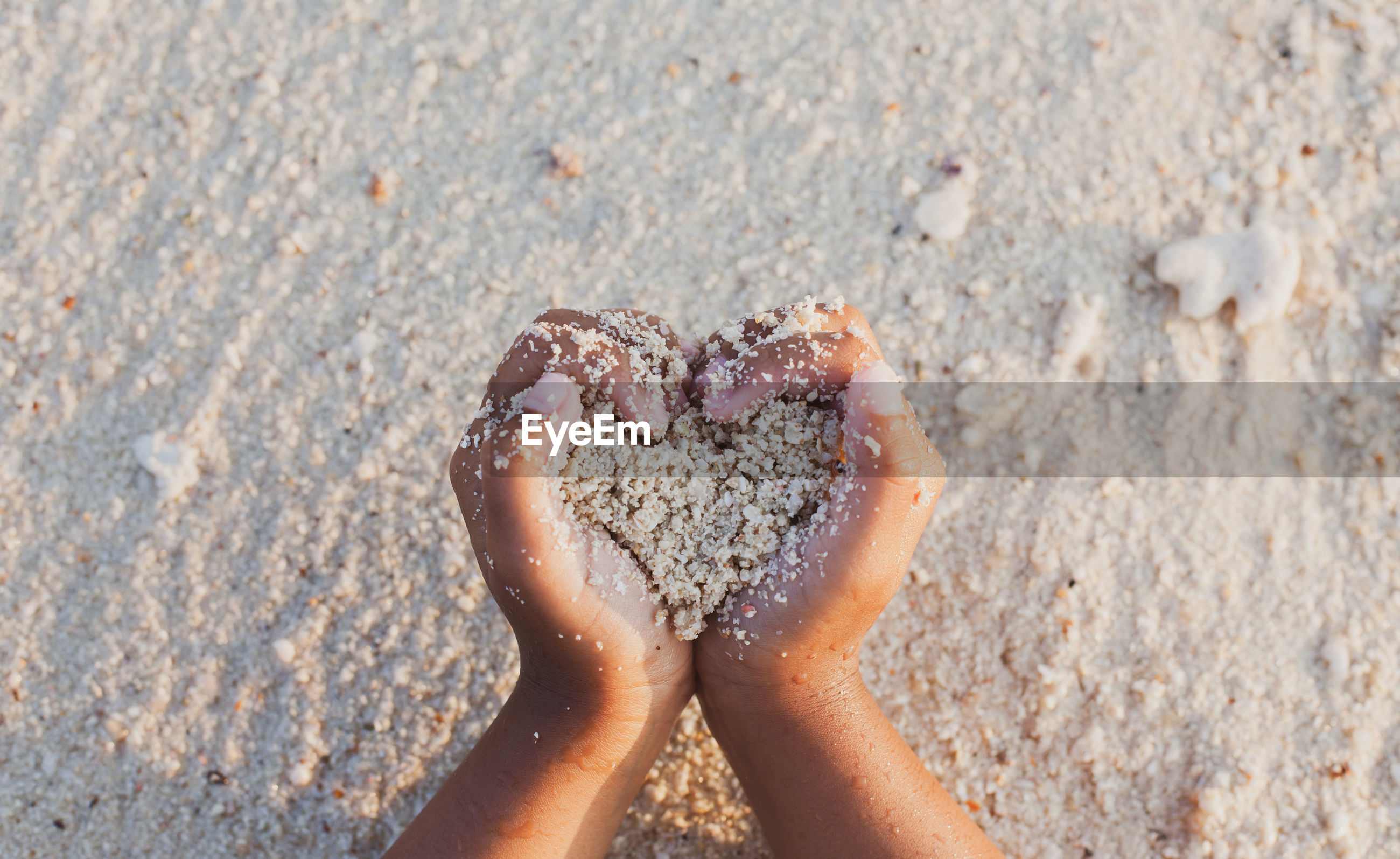 Cropped hands holding sand at beach | ID: 140438331
