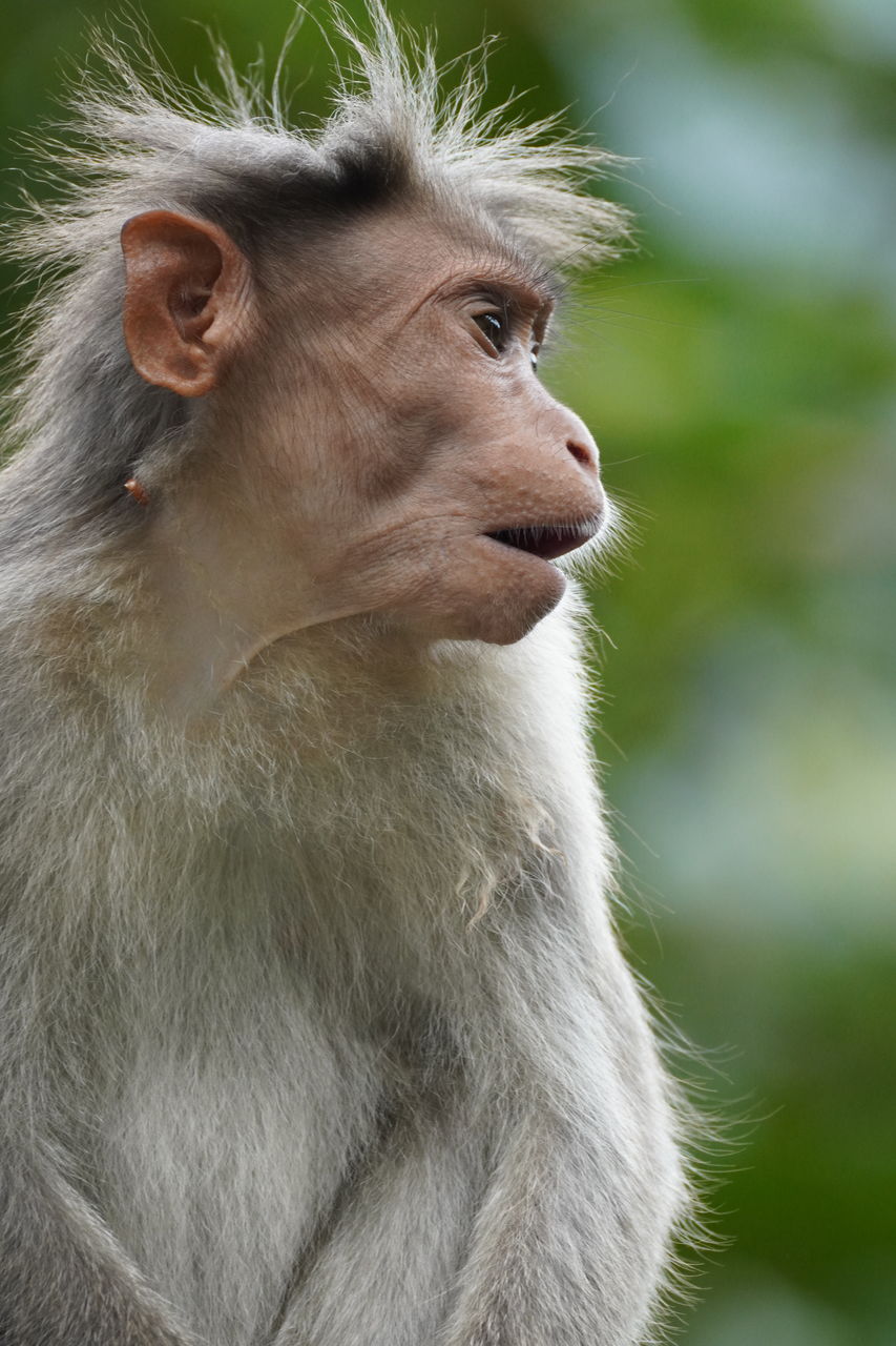 animal 195914107 | Beautiful photography on EyeEm