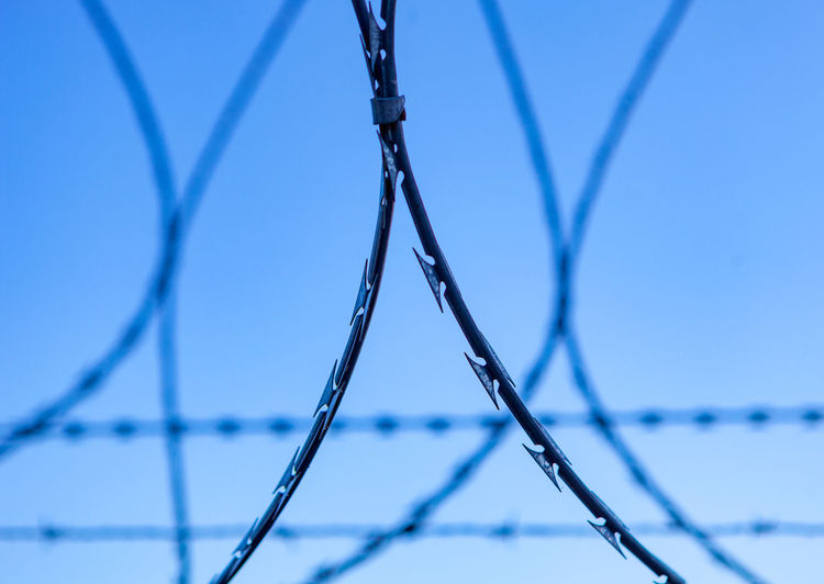 Barbed Wire Fence pictures | Curated Photography on EyeEm